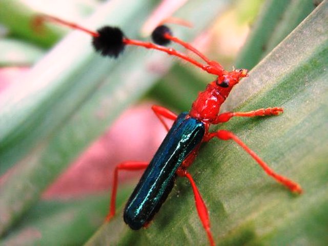 Uruguay and it's Curiosities-Uruguay y sus curiosidades: Most Beautiful ...