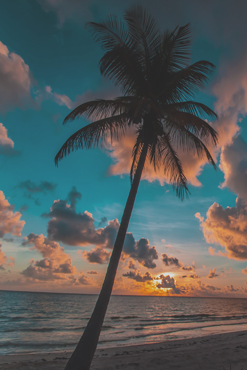 Victoria Craven: Aquarius Full Moon : Beach Dream Board