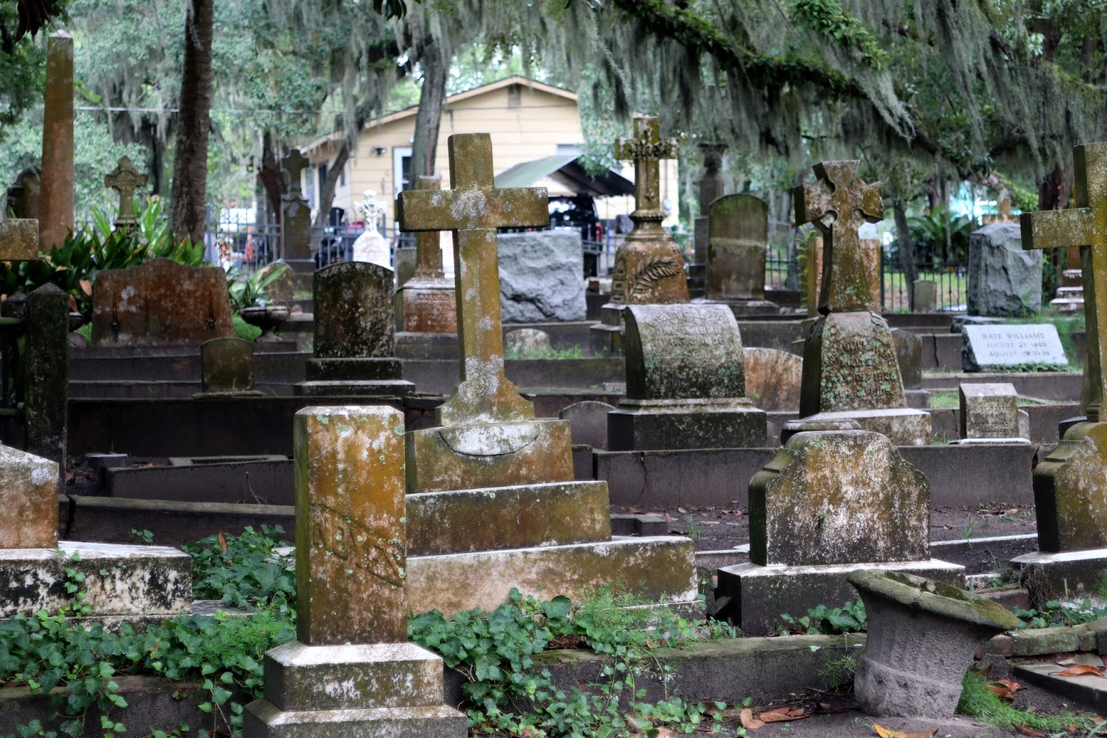 THOUGHTS OF A DREAMER