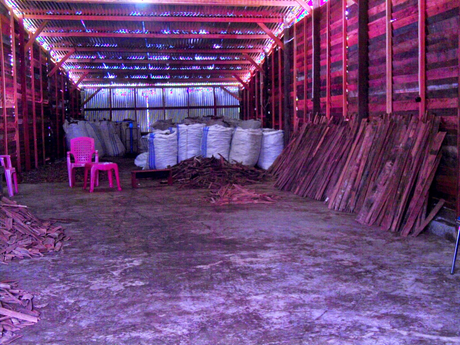 Ransun Group: Kulit Kayu Massoia (Masohi, Mesoyi)