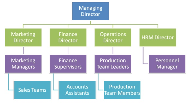 Biz Nest : Chapter 19: Improving Organisation Structures