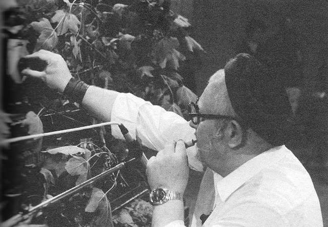 ojos de musico extraviado: MERCEDES GUARDADO, LA FAMILIA VOSTELL