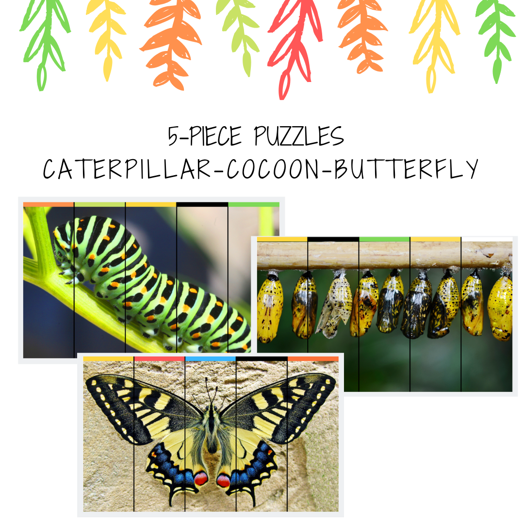 petit worlds: Printable 5-Piece Puzzles - Caterpillar-Cocoon-Butterfly