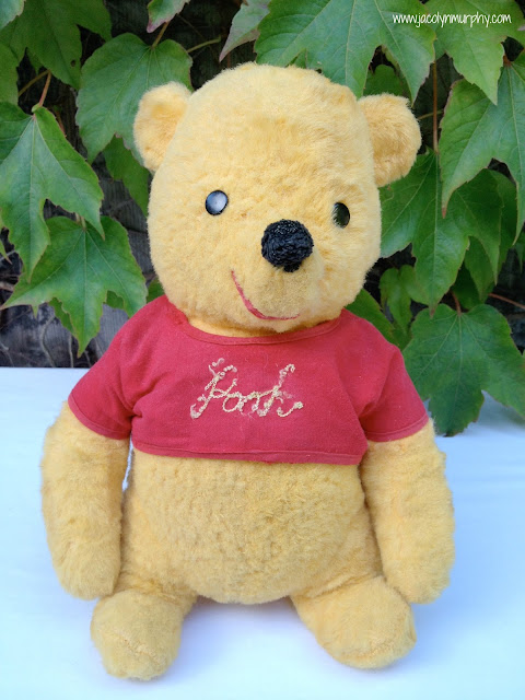 Jac o' lyn Murphy: Even Big Girls love Winnie the Pooh-our Teen Pooh Party!