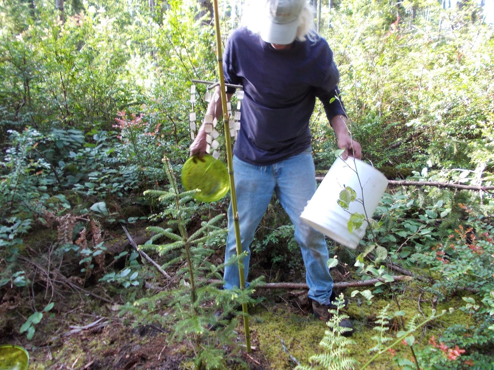 CountOnTheMoon : Planting on Hoaka Moon: Eia na pulapula a 'oukou 'o ka ...