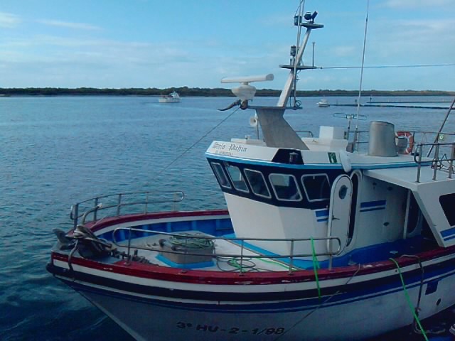 DE MAR El Rompido: A Faenar...