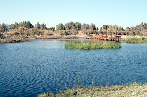 Al-BAB: Al-Azraq Oasis
