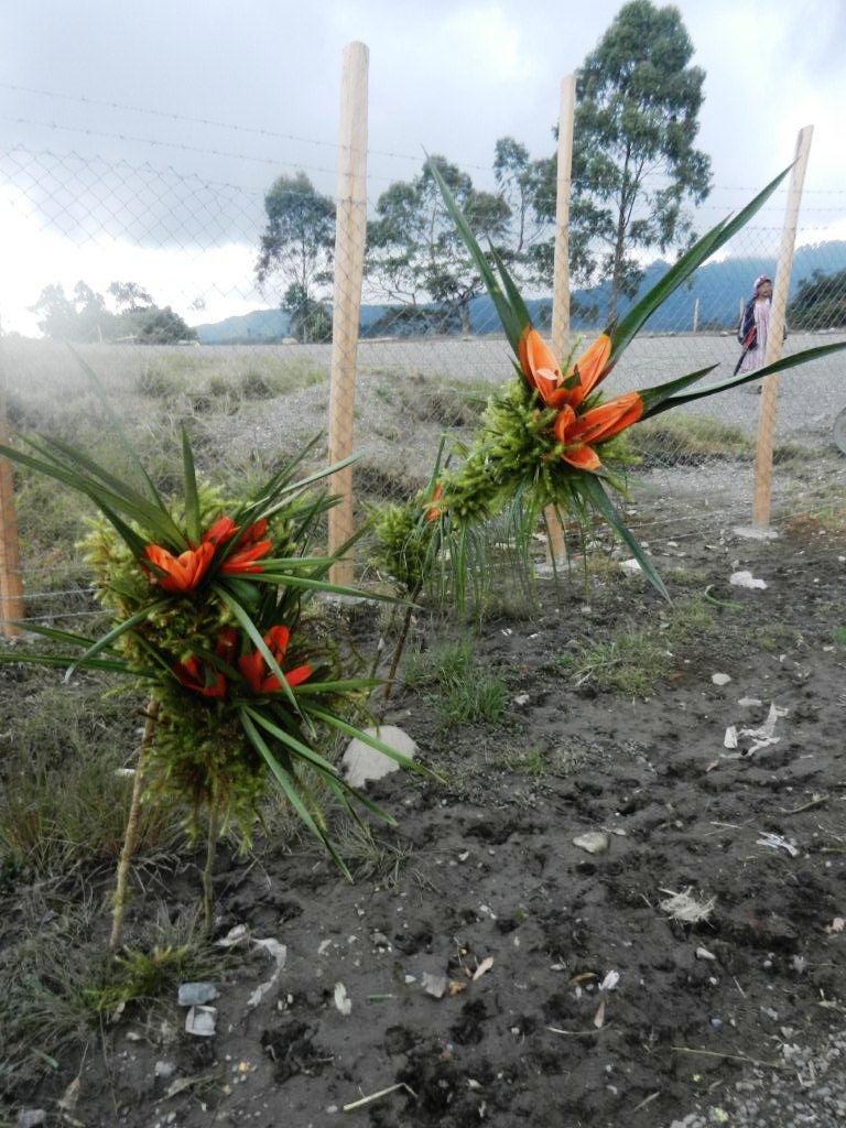 Malum Nalu: Postcards from Daulo Pass