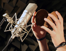 Group 2: Foley sound - How its done, Why its and the History