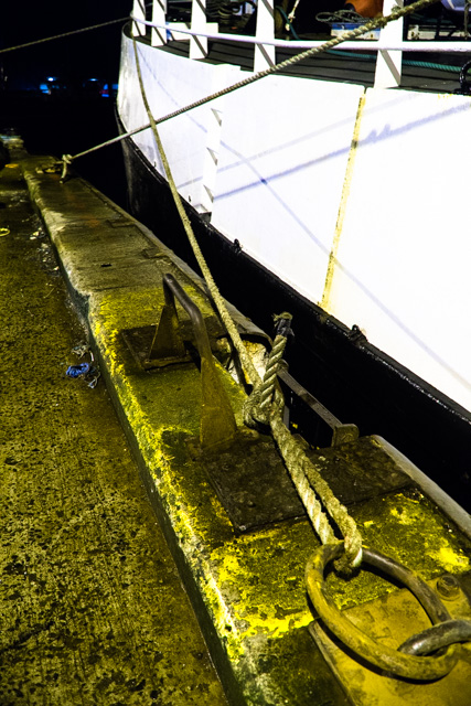 Through the Gaps! - Newlyn Fishing News: Freshly landed fish are rare ...