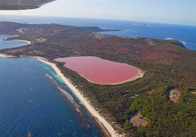 Contacto Seres de Luz: El lago Hillier: El Lago Rosa en Australia