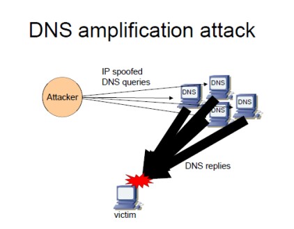What Is DNS Spoofing And Amplification Attack Explained By Hax4Us | Hax4Us
