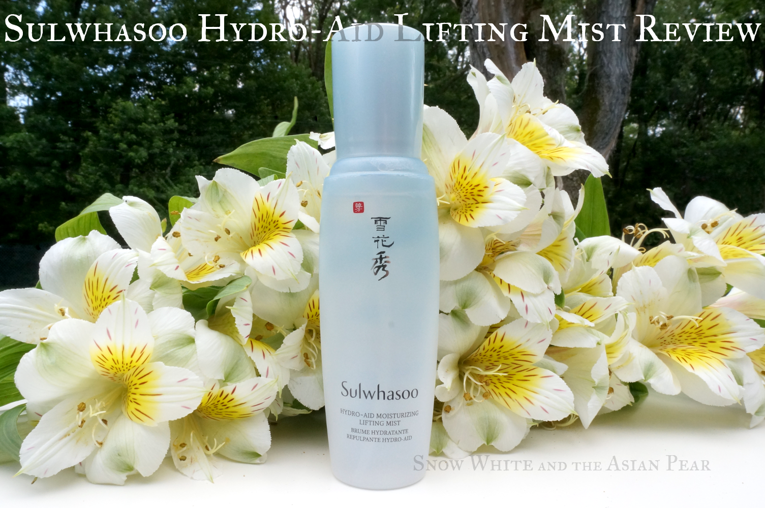 Feelin' Fancy: Sulwhasoo Hydro-aid Mist Review - Snow White and the ...
