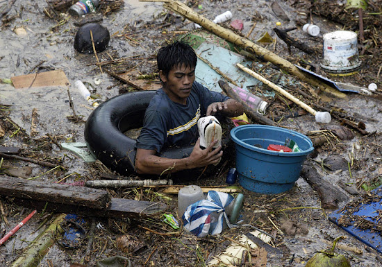 tomtax: Typhoon Sendong : Report Business Losses within 45 days