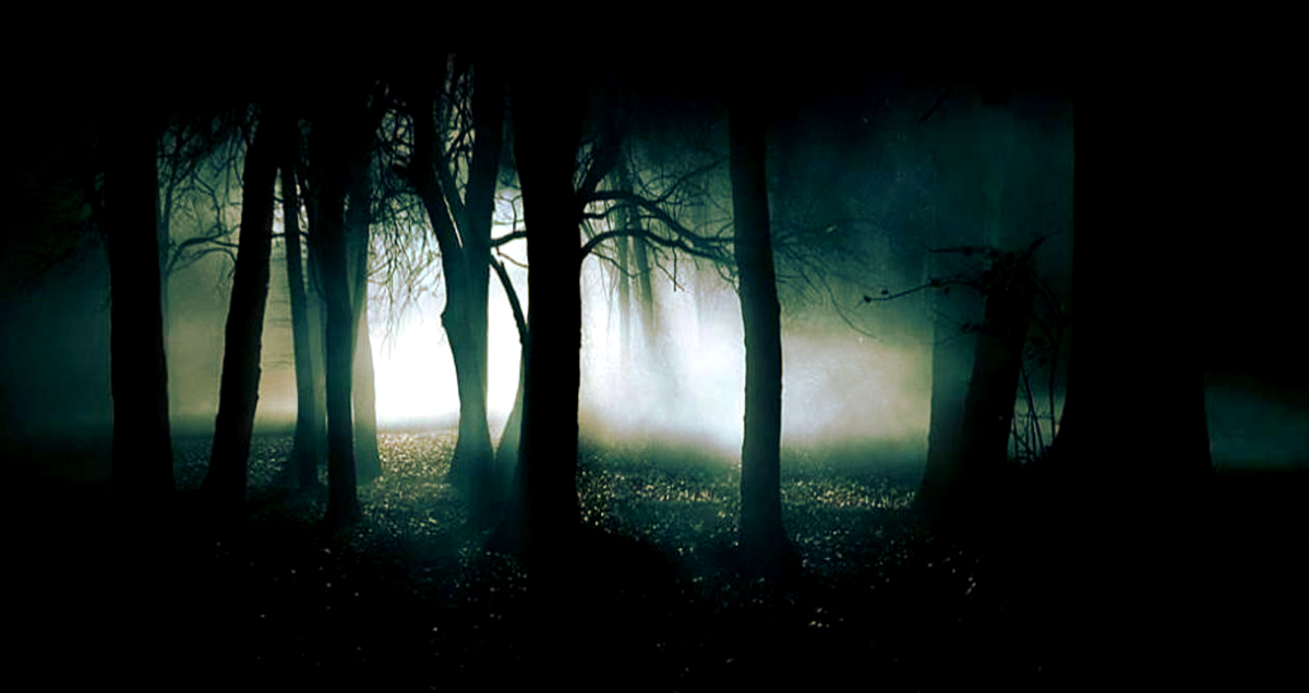 TOP 10 HAUNTED TREES IN INDIA