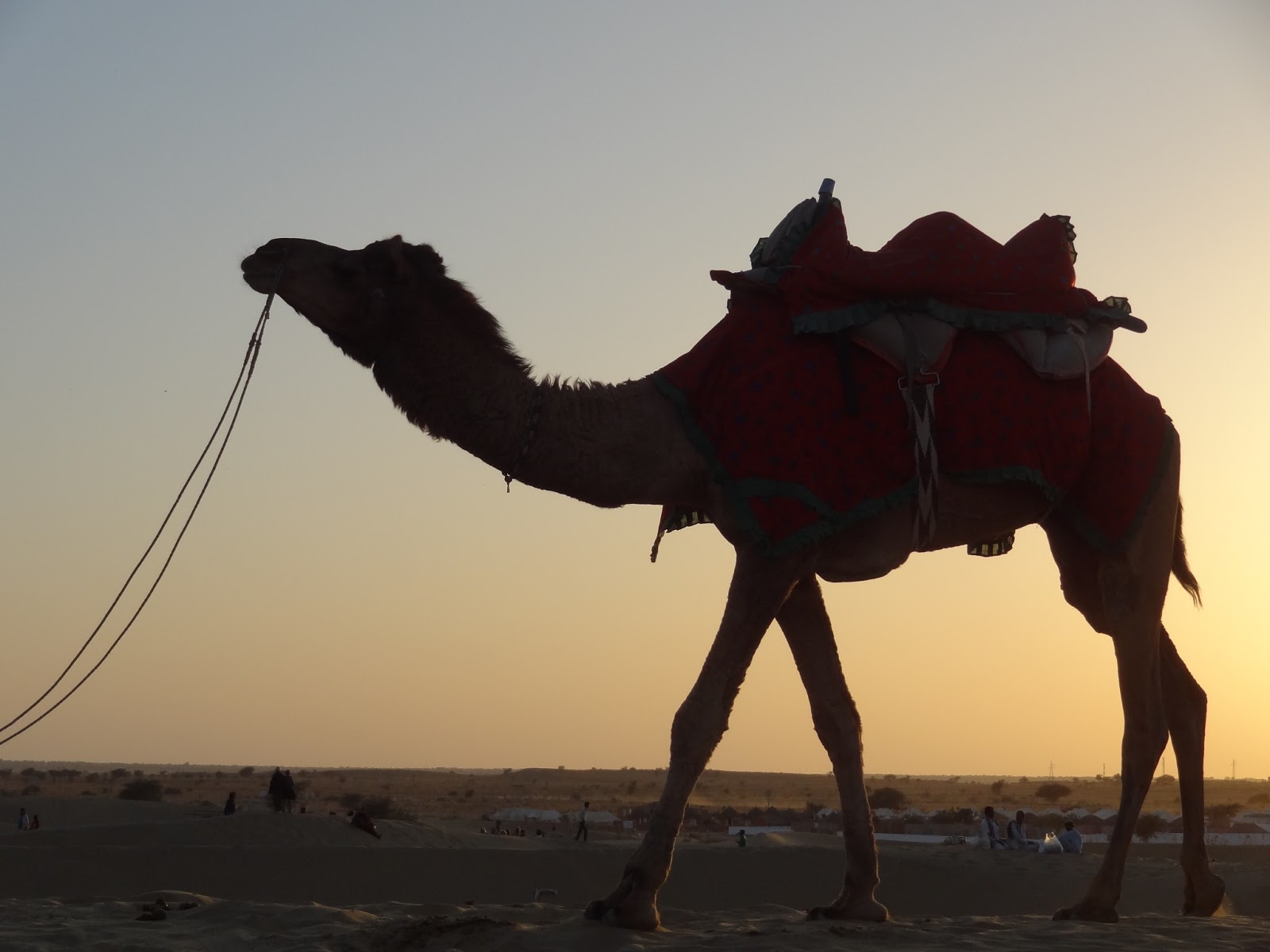 thotspot: ENCHANTING RAJASTHAN-II