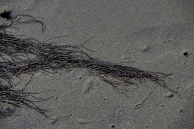 nature big nature small