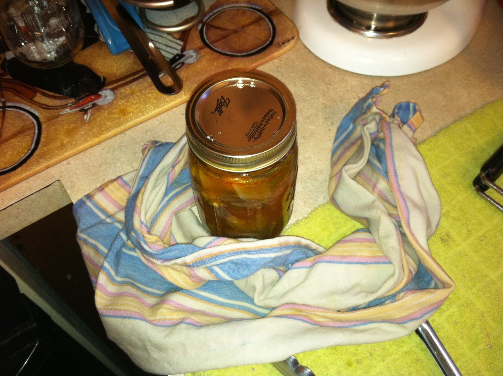 Adventures in Paleo Cooking: Paleo Canning - Gazinta Soup