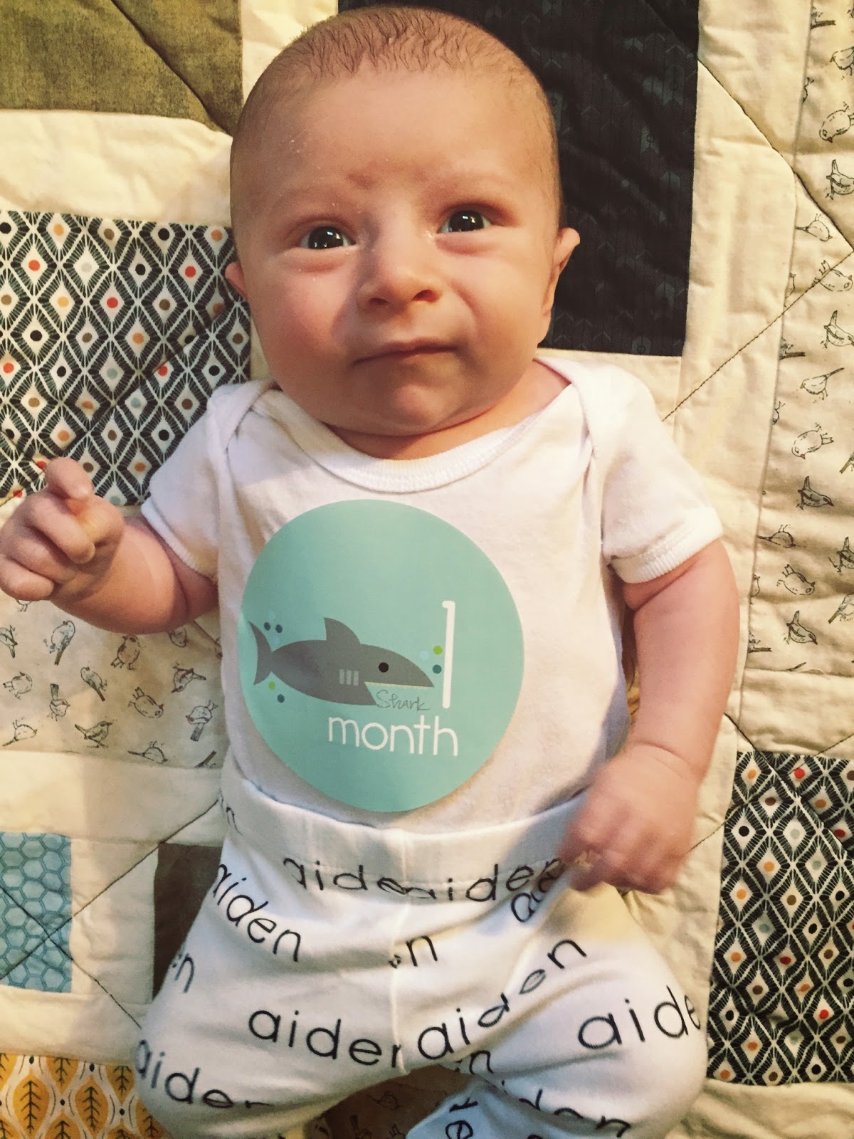 Nestful of love: Aiden Paul {1 month}