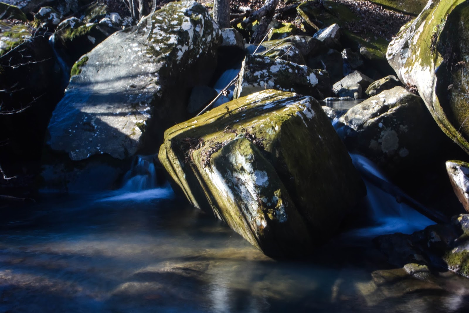 Rick's Hiking Blog: Terwilliger Falls, Pine Hollow, Richland Wilderness ...