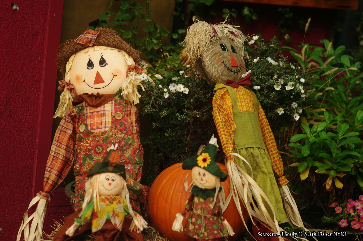 Mark Fisher American Photographer™: Scarecrow Family • American ...