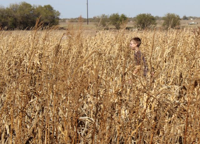 Project Denneler: All Things Fall