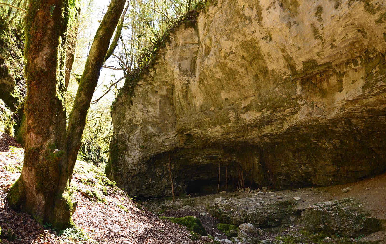 DROMESCAPE - Randonnées en Drôme et Escapades photographiques: Le ...