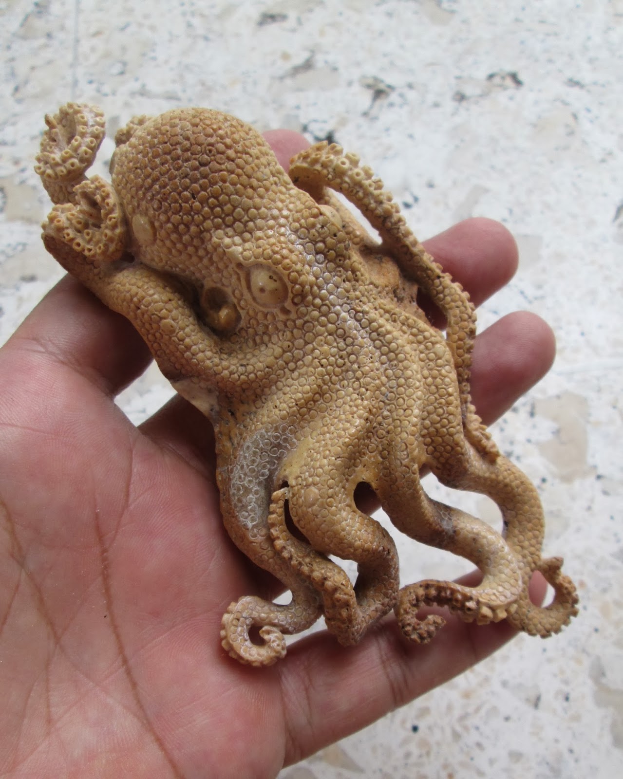 Octopus Bone Carving, Special Carving - Bone Pendants | Bone Carving ...