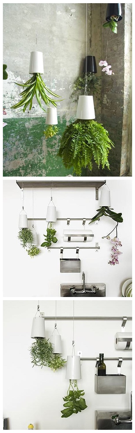 Perfect Gardening Design Idea "Upside Down Planter - garden favorite