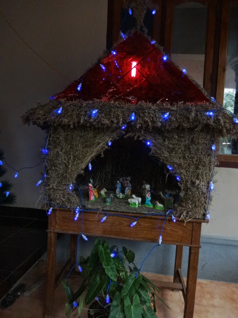 sharmila angel palayam: Xmas kudil in my house...