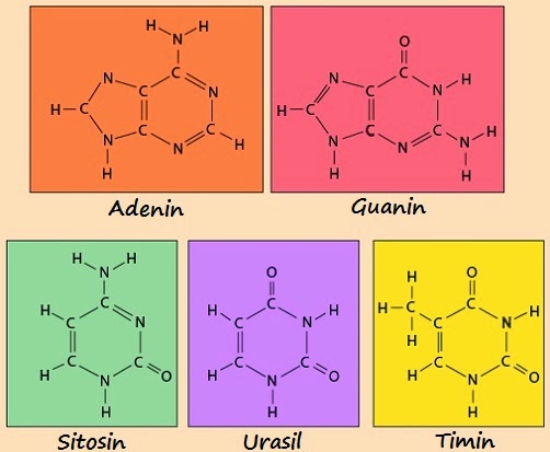 Dream Big: Oktober 2013