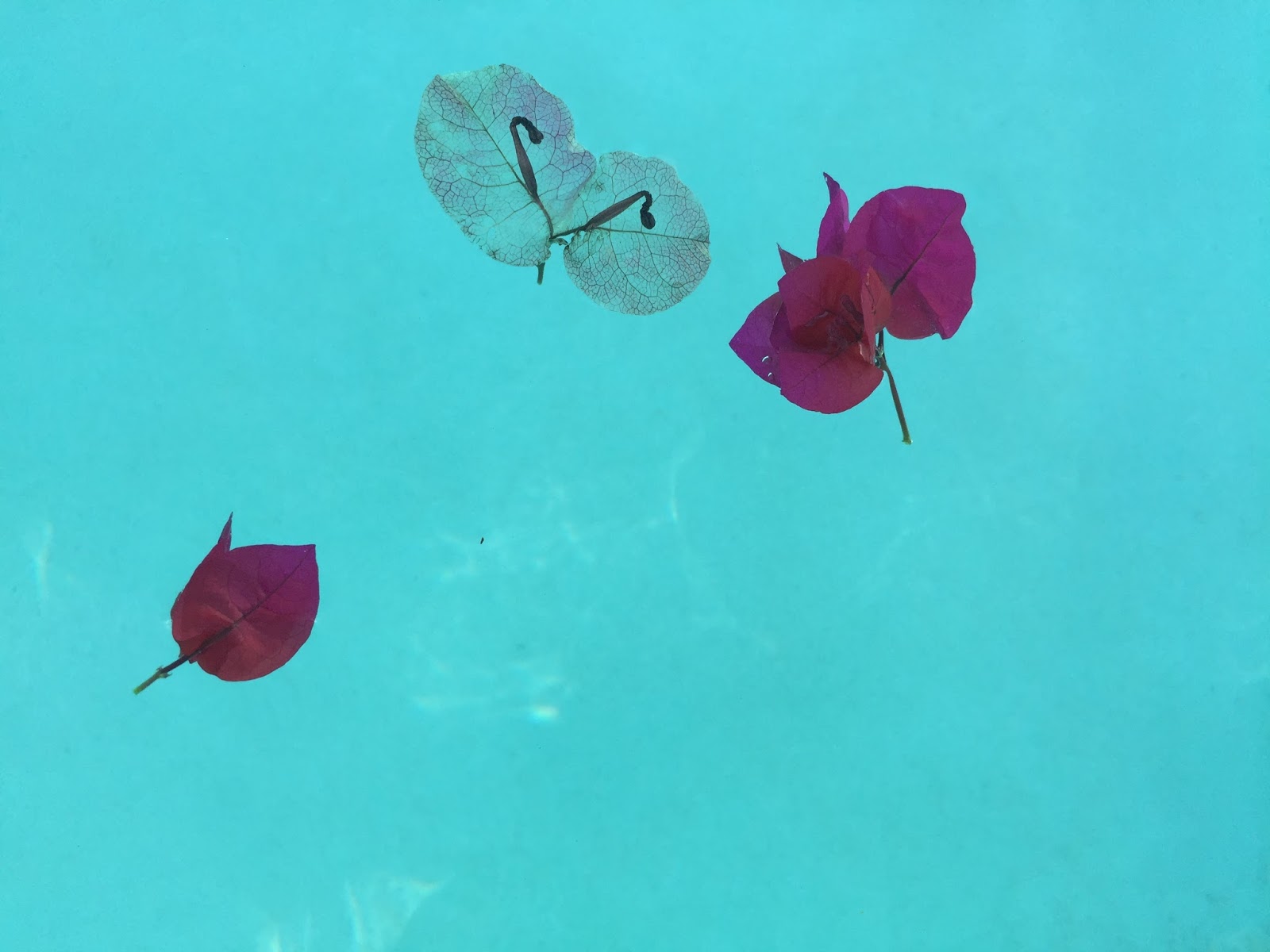 Literally Letty: Feelin' Groovy