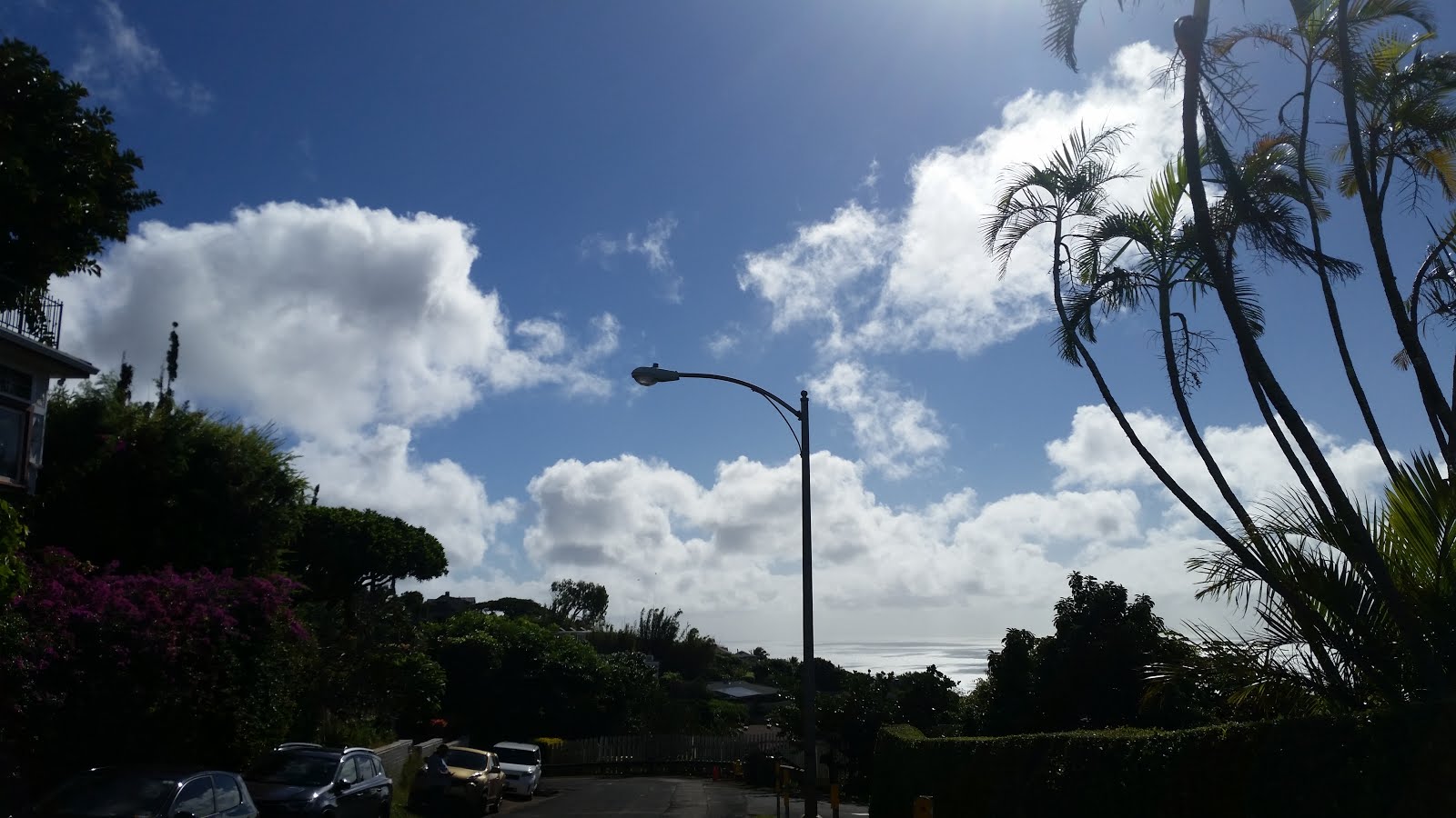 My Summer Vacation: L & L Mapunapuna