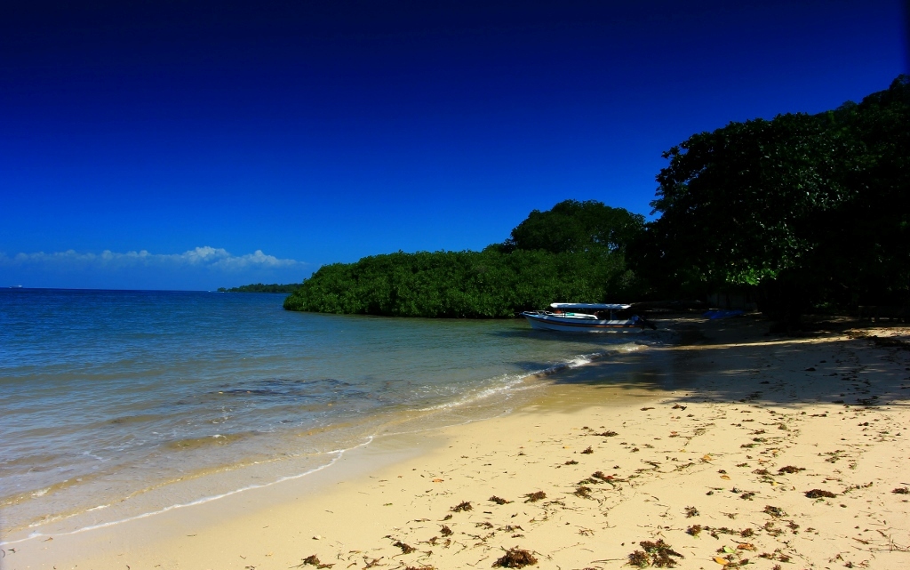 Pantai Bama, Eksotika Dibalik Taman Nasional Baluran - Manusia Lembah