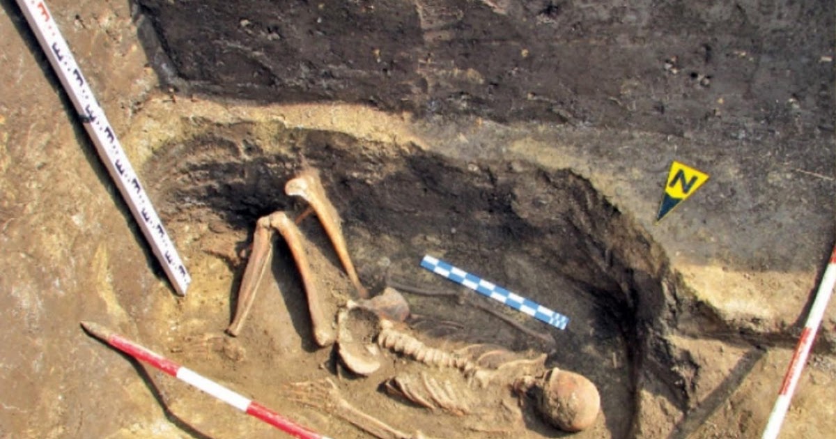 Terra Forming Terra: Exposing the Secret History of Giants and the ...