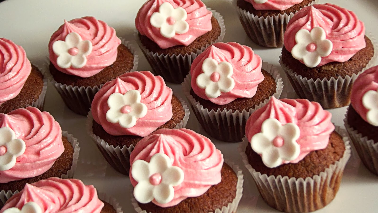 Backen kann Jeder!: Mini Schoko Cupcakes