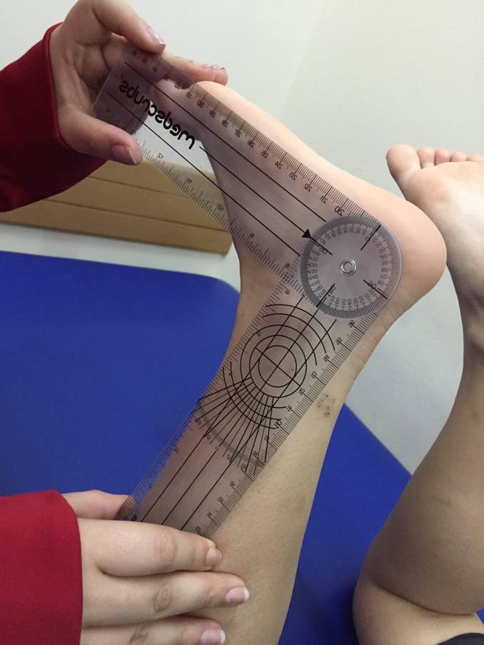 Goniometría Humana: Tobillo