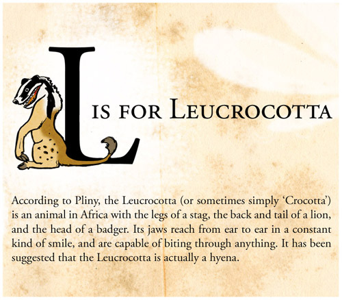 Planar Adventures for Dummies: Ecology of the hyena, thoa, and leucrota