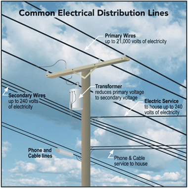 41st Ward Citizen's Blog: July 2011