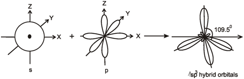 Types of Hybridisation │Chemistry Desk