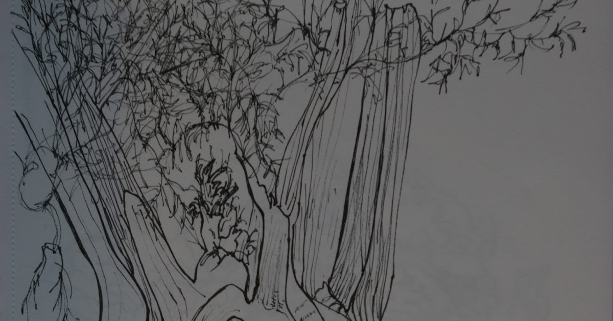 Aylish's OCA Learning Log: Project: Detailed Observation. Exercise:Line ...