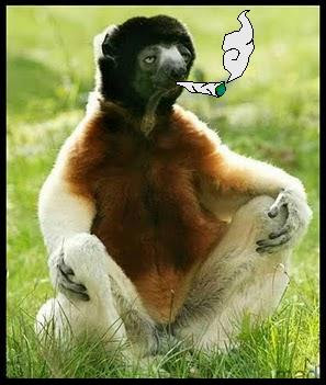 Alocs Mey!: Zubumafu