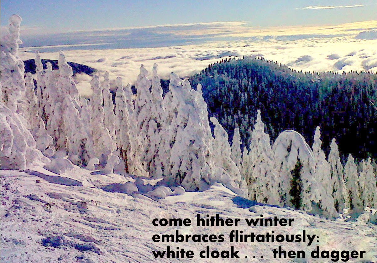 Words and Words and Whatnot . . .: snow haiku