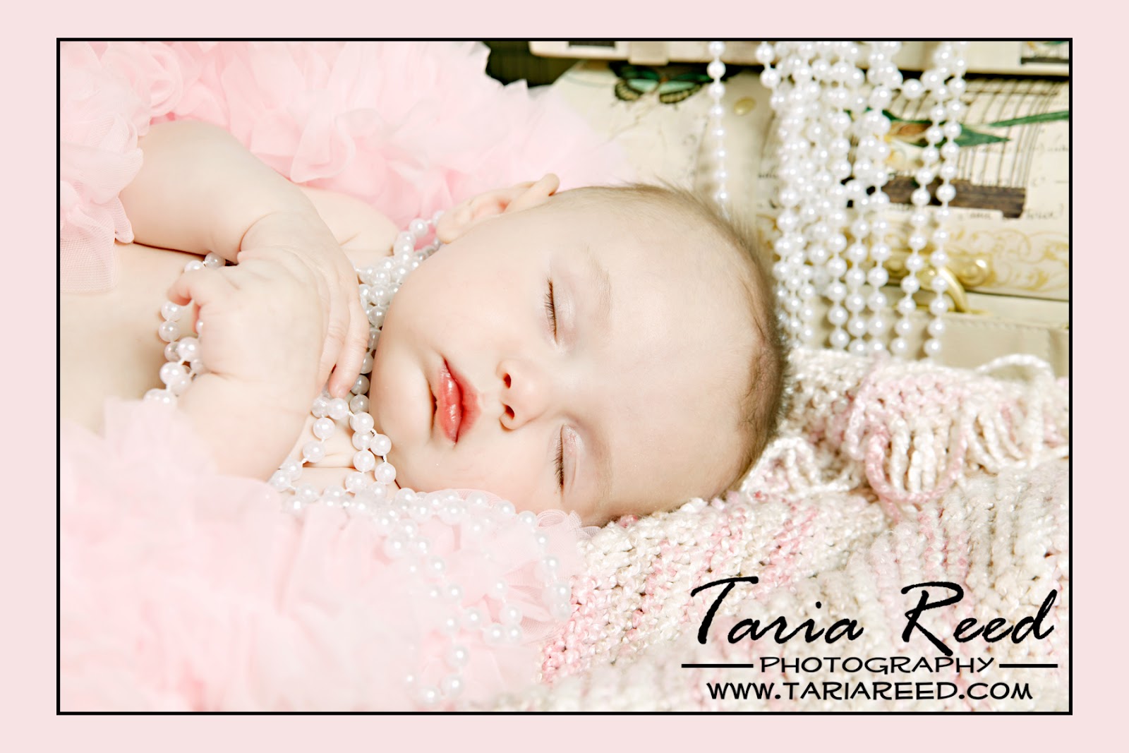 Taria Reed Photography: July rewind...