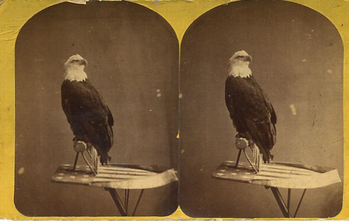 Civil War Quilts: Old Abe the Eagle