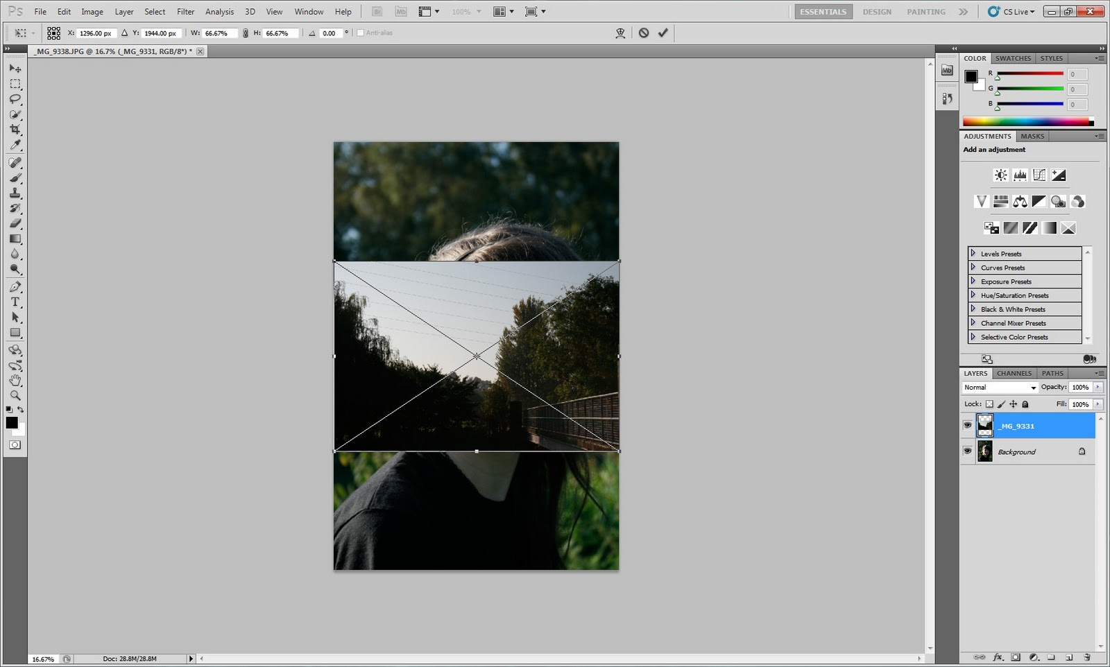 leanne.blake: photoshop workshop 1 - Opacity