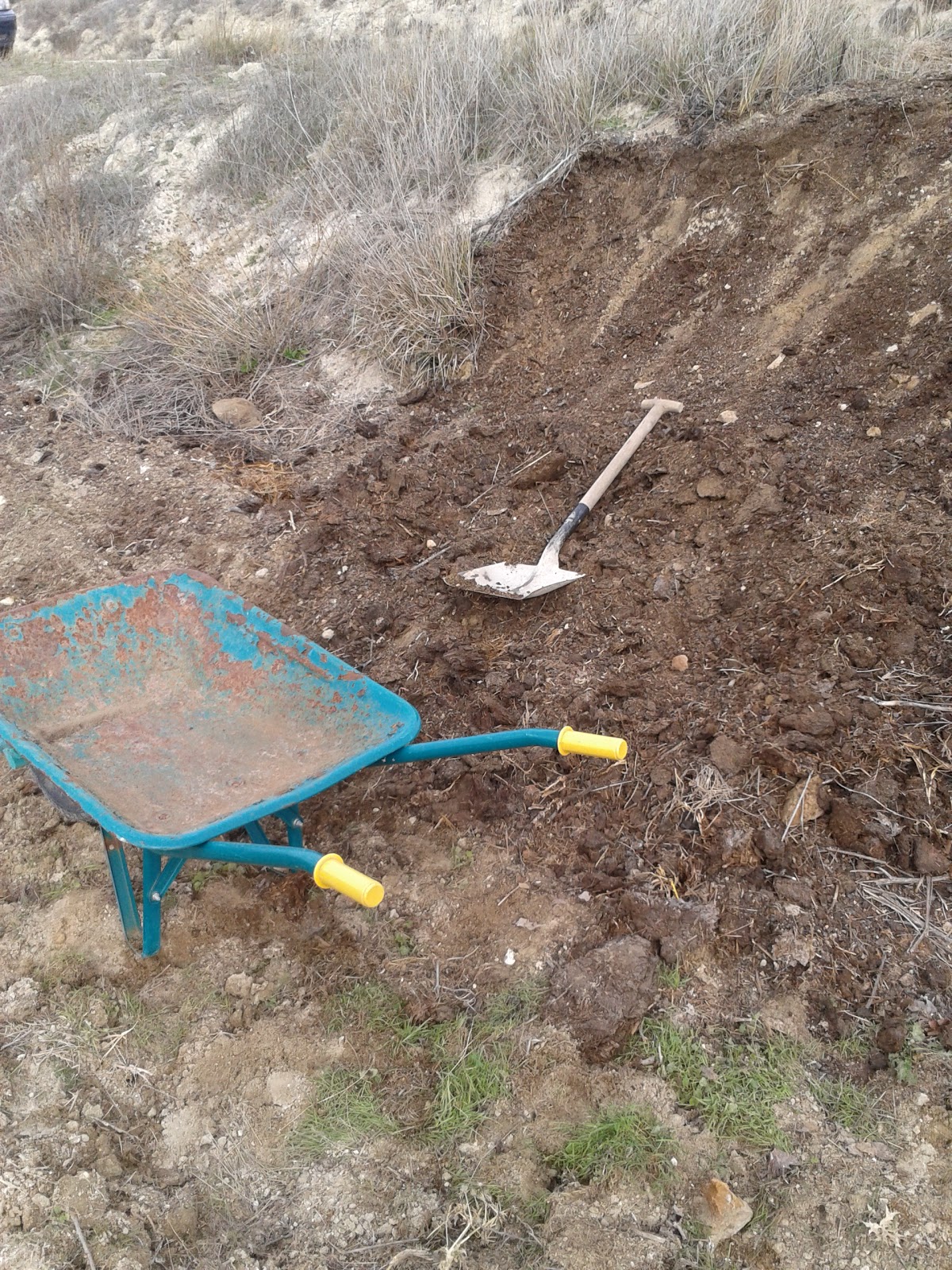 Vinos Ambiz: Vineyard Work - Natural Wine Starts Here!