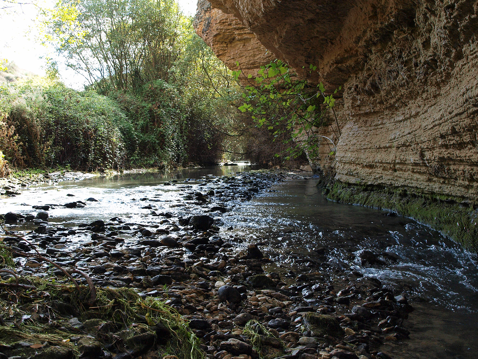 Caminando por Sierras y Calles de Andalucía: Cañón del río Cacín: II ...