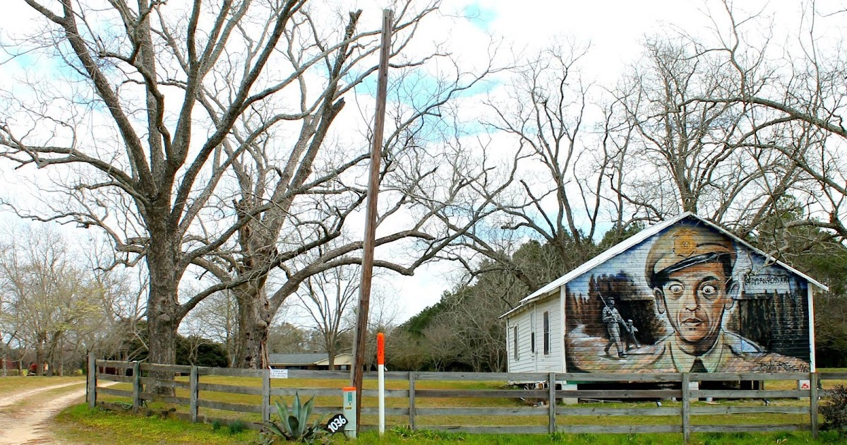Forgotten Georgia: Another View of the Dylan Ross Art Mayberry Mural on ...
