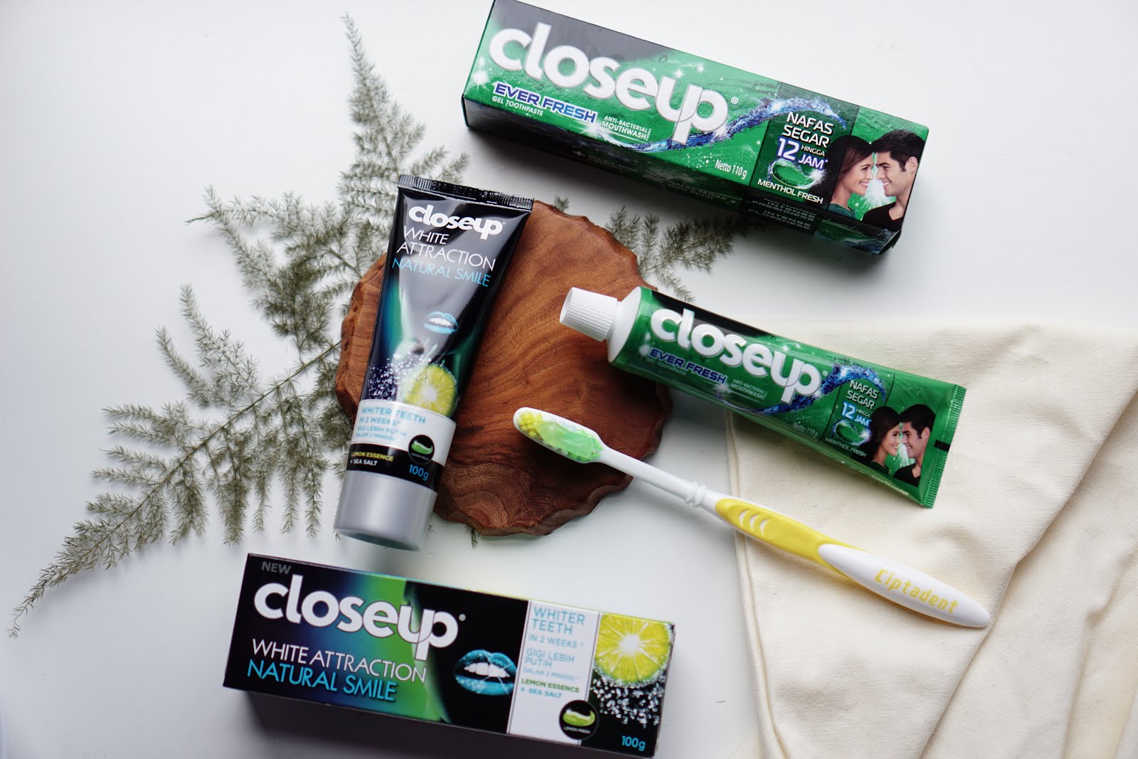 Close Up Toothpaste Smile